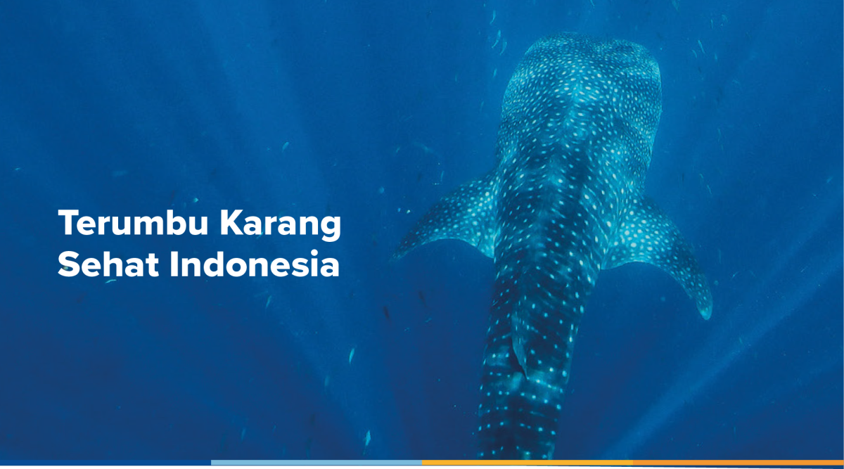 TeKSI - Terumbu Karang Sehat Indonesia - MostlyHarmless